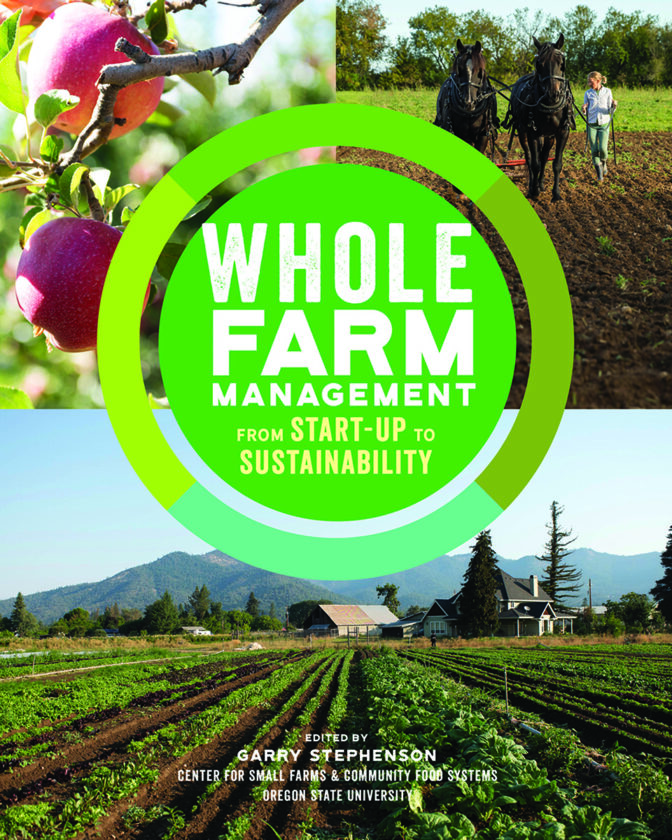 Starting a Small Business in 6 Steps – Mother Earth News